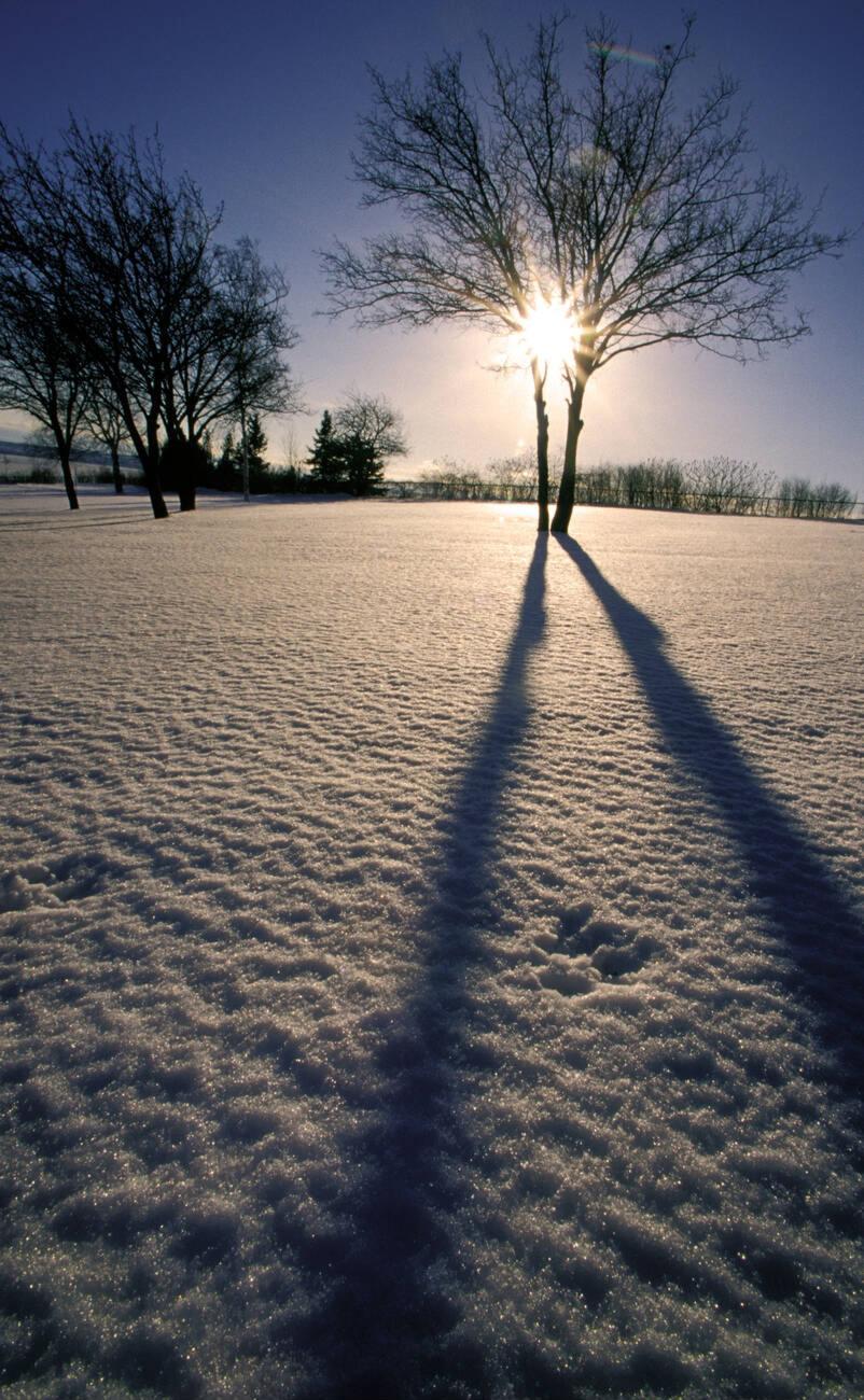 ArtRewards | The Role of Light in Photography: Natural vs. Artificial ...